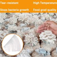 China Tear Resistant Strong Durable Fungus Mycelium Cultivation Growing Mushroom Grow Grain Spawn Bags for sale