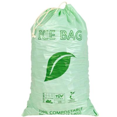 China 1.5mil Ice Poly Packaging Bag Biodegradable Compostable Storage Use Low MOQ for sale