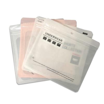 China ASP PE Zipper Storage Bags , 12pcs Frosted T Shirt Packaging Pouch for sale