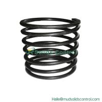 China F500 Valve Spring High Quality Spring Steel 1 Million Cycles Fatigue Resistant for Industrial Valves for sale