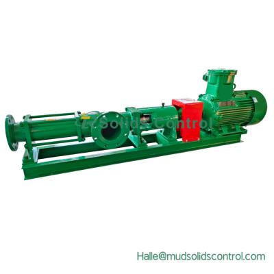 China TRG20A-055 Screw Pump - A High-Capacity, Reliable Pumping Solution For Demanding Applications for sale