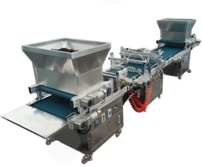 China 500 Trays Per Hour Vacuum Needle Type Plug Tray Seeder for Strawberries and Tomatoes for sale