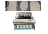 China 320 Channels Intelligent Rice Colour Sorter Machine With 5 Ton/H Capacity for sale