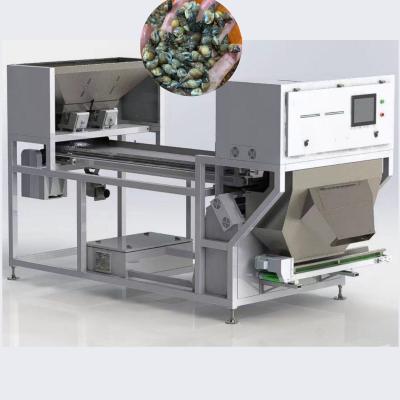 China Ai Deep Learning Shellfish Optical Sorter-Track-Type, For Seafood. for sale