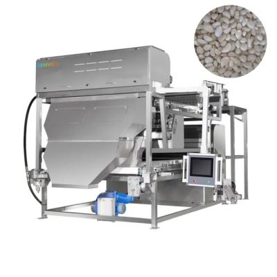 China AI Intelligent Double-Layer Belt Color Sorter Machine for Garlic Bulbs, Star Anise, Spices. for sale