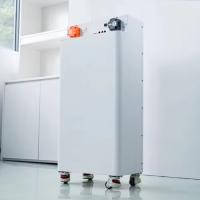 China Vertical Solar Energy Storage Lithium DIY Battery Box with Jk 200A BMS 48V 280ah 306ah 314ah for sale
