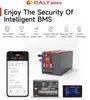 China Daly Advanced Battery Management for 8s-24s with LCD Display for sale