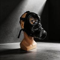 China MJ-2022 (HJ20B) CBRN Full Face Respirator for sale