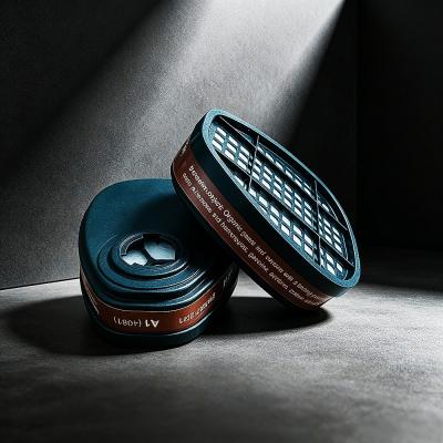 China A1 Oval Inorganic Vapor Filter Cartridge for sale