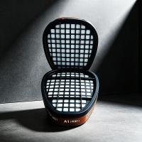 China A1 Oval Inorganic Vapor Filter Cartridge for sale
