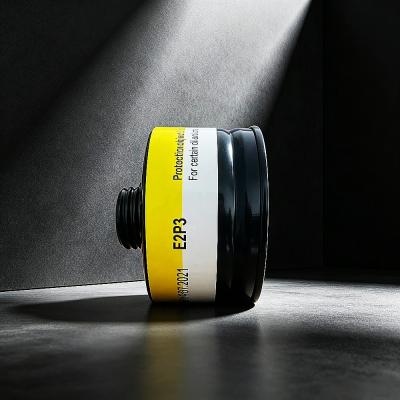 China Metal E2P3 Acid High Capacity Filter Canister RD40 Thread for sale