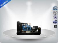 China Germany MTU Engine 200 kw diesel generator / Genset Container power plant for sale