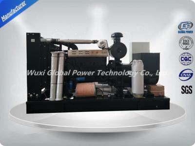 China 250KW 50HZ 400V 3P 4 Wires Industrial Generator Set With Low Emission for sale