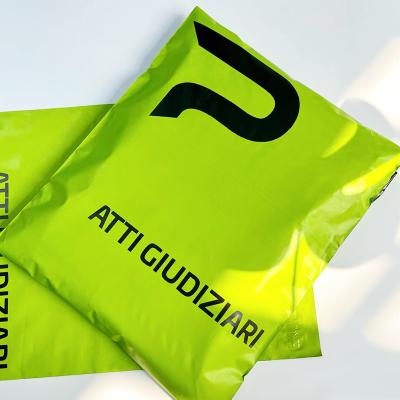 China Printable Polyethylene Custom Mailer Bags With Logo Tear Resistant for sale