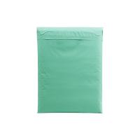 China Strong Bearing Capacity Mint Green Biodegradable Custom Mail Bags For Shipping for sale