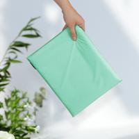China Strong Bearing Capacity Mint Green Biodegradable Custom Mail Bags For Shipping for sale