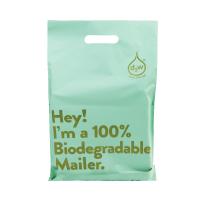 China Double 12 Silk - 16 Silk Printed Delivery Bags Courier Packaging Bags Screen Printing for sale