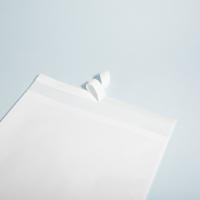 China Bio Degradable Semi Transparent Flint Glazed Paper Ziplock Bag Compostable Clothing Packaging Bag for sale