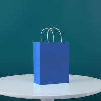 China Vertical 130gsm Custom Kraft Paper Bags With Twisted Handles for sale