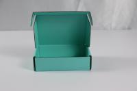 China Customizable Mint Green Corrugated Extra Hard Airplane Box Clothing Packaging for sale