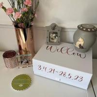 China Custom Luxury Color Gift Box A Variety Of Styles Beautiful Packaging for sale