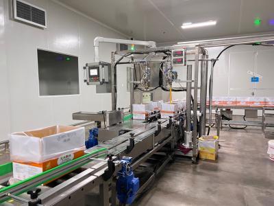 China Stainless Steel Food Packaging Line for Strawberry Powder Bulk Packing 380V 5KW for sale