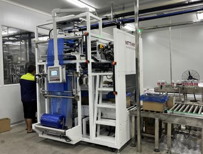 China Automatic Margarine Filling Machine 20-50g Capacity Stainless Steel Food Packaging Line for sale