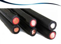 China 4mm Twin Core Solar Cable with XLPE Sheath and Tinned Copper - 12.5mm OD, 55A Current Capacity, 1000/1800V DC Rating for sale