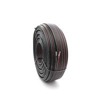 China XLPE Insulated Twin Core Solar Cable Featuring Polyvinyl Chloride PVC or Thermoplastic Elastomer TPE Sheath Suitable for Photovoltaic Systems for sale