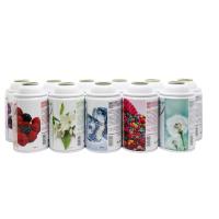 China Tinplate Empty Aerosol Can with Lacquered Surface Finishing 45/52/57/60/65/70mm for sale