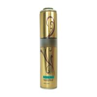 China Leak Proof Empty Spray Can Durable Tinplate Custom Printing for Hair Styling for sale
