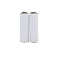 China Anti Corrosion Cosmetic Packaging Aluminum Spray Can Lacquered Surface Finishing for sale