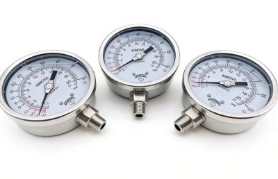 China WINTERS PAM-10 Stainless Steel Ammonia Gauge with IP65 Protection and ±0.25% Accuracy for Industrial Pressure Measurement for sale