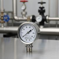 China WINTERS P1S-100-60 Pressure Gauge with ±0.25% Accuracy Stainless Steel 316 and IP65 Protection for Industrial Applications for sale