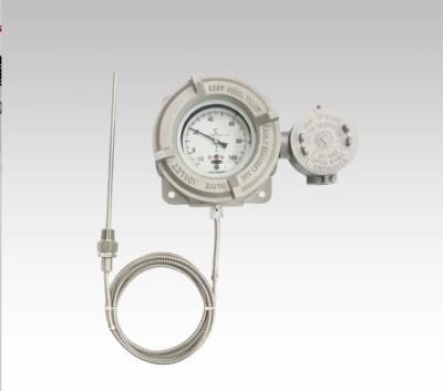 China Industrial Explosion-proof Temperature Controller Switch NEW-FLOW ETS5000 With SS316 Sensor for sale