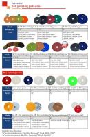 China G-2 Dry Diamond Polishing Pads For Concrete / Stone Polishing High Gloss for sale