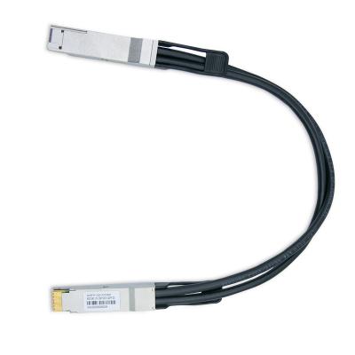 China 400G QSFP-DD Passive Direct Attach Copper Cable 3m 24AWG CE ROHS for sale