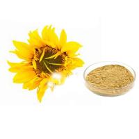China Natural Sunflower Raw Bee Pollen Powder 98% Purity for sale