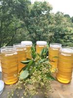 China Pure Raw Honey Nature Fruitwood Flower Honey No Addictive Bright Yellow Color 100% Ntatural Bee Honey for sale