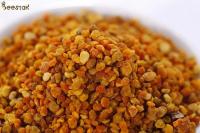 China Fresh Sunflower Mixed Bee Pollen Big Granules Yellow for sale