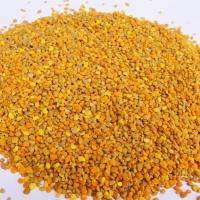 China Natural Nutritional Rapeseed Bee Pollen Granules For Bee Feeding for sale