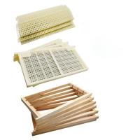 China Apicultural Tools Plastic Queen Bee Frame Honey Bee Box Beekeeper Tool No Graft for sale