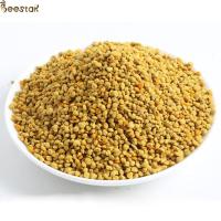 China Big Granual Organic Rapeseed Bee Pollen with 22% Protein for Human and Bee Consumption for sale