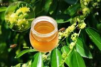 China 100% Pure Natural Organic Bee Honey Sidr Honey with Distinctive Aroma and Color for sale