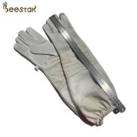 China Thick Canvas And Mesh Longsleeve Sheepskin Beekeeping Gloves With Breathable Layer for sale