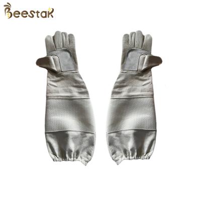China Thick Canvas And Mesh Longsleeve Sheepskin Beekeeping Gloves With Breathable Layer for sale