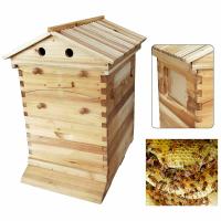 China Bee Star Langstroth Flow Hive Beehive With 7 Plastic Frames Beehives And Frame For Beekeeping for sale