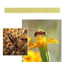 China New Manhao 22 Strips per Bag Tau-Fluvalinate Material Bee Medicine for Curing Varroa Mites for sale