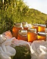 China Organic Pure Bee Honey Raw Natural Bulk 35kg 290kg Barrel for sale