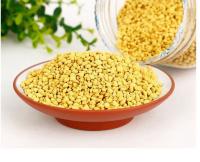 China 100% Pure Natural Rapeseed Pollen with 8% Moisture and Yellow Color for Beekeeping and Human Consumption for sale